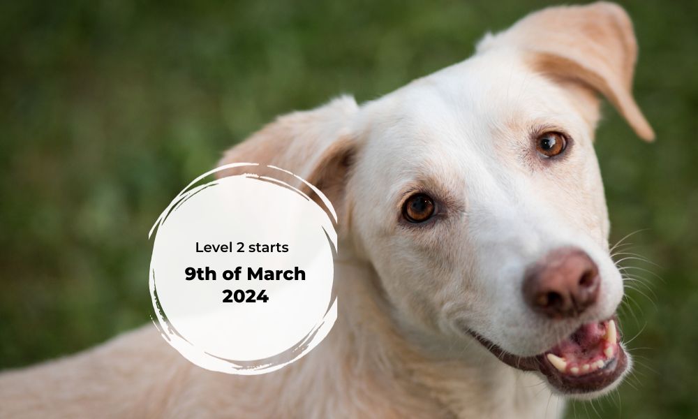 Level 2 - Nordic Education Centre for Dog Trainers